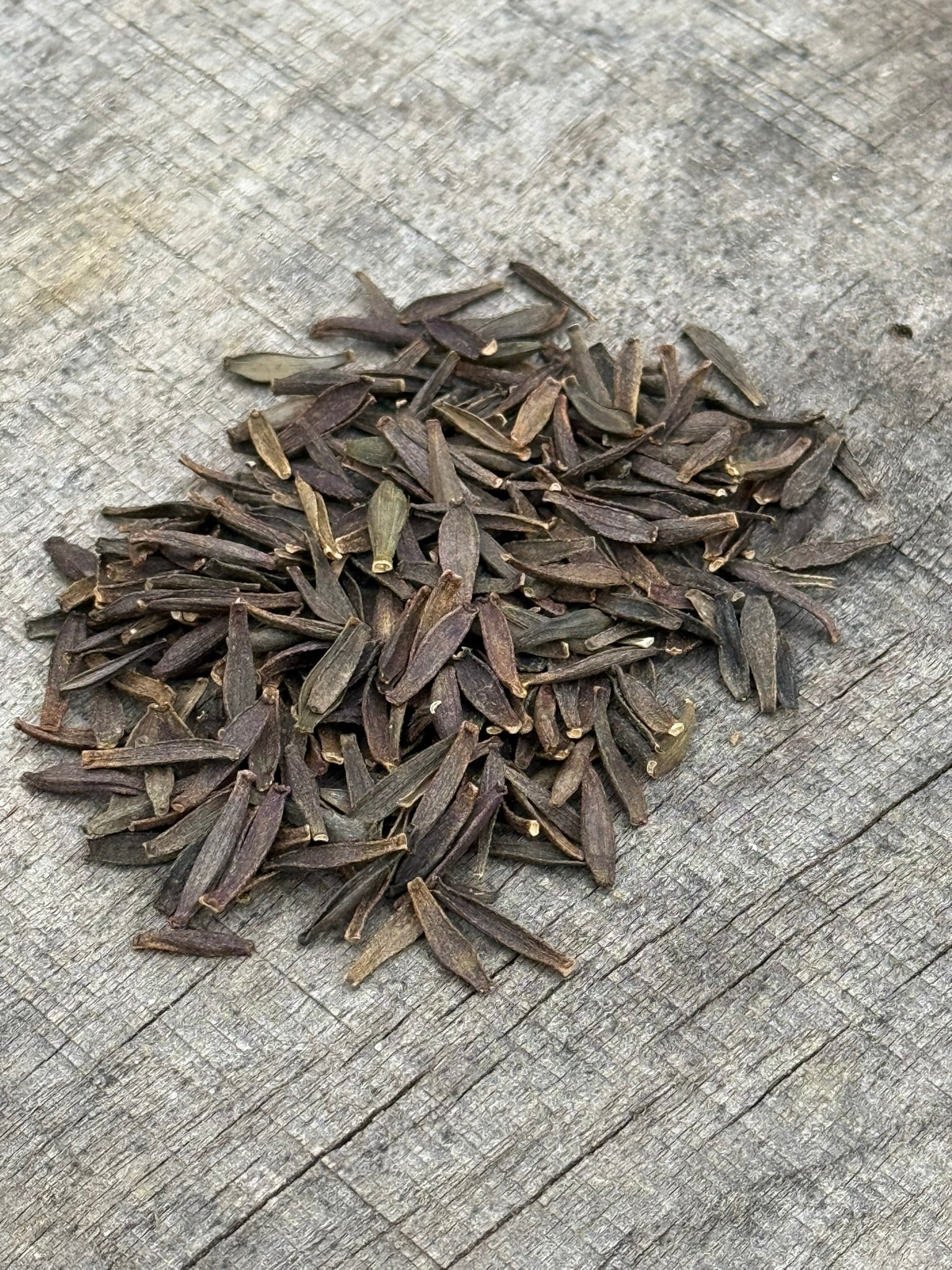 Dahlia Seeds 🦄 Specialty Mix 25 Seeds – Pickin' Petals Flower Farm